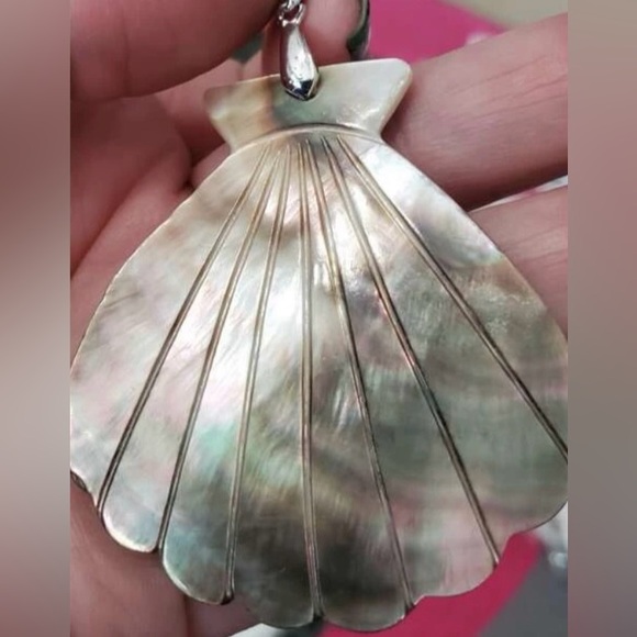 Jewelry | Abalone Clam Shell Rainbow Iridescent Carved Seashell Oyster ...
